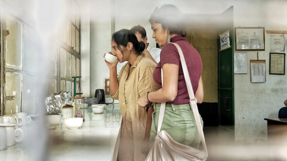 How to Taste Tea: An Introduction – Herbs & Kettles