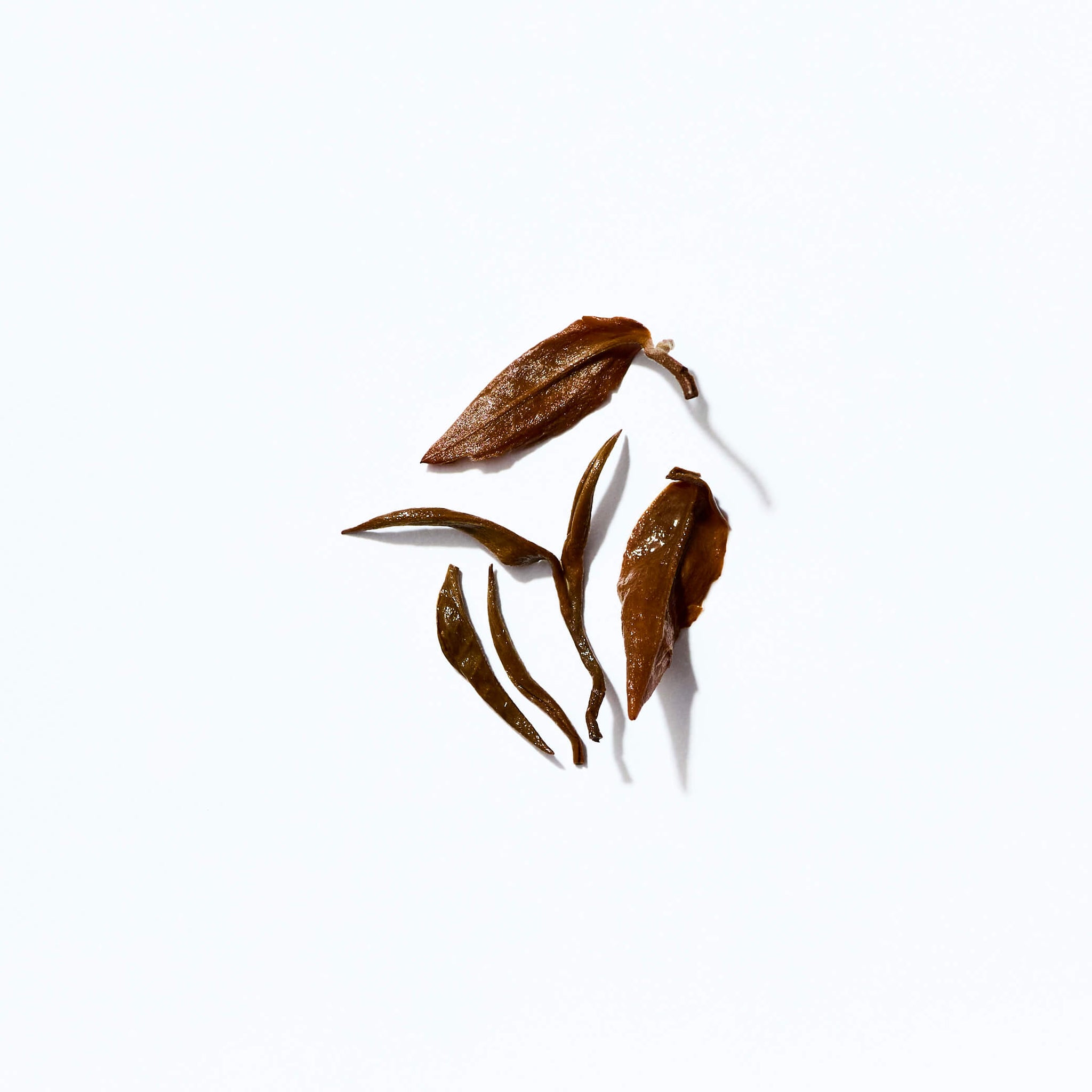 Second Flush Darjeeling Golden Summer Muscatel Tea | Herbs & Kettles